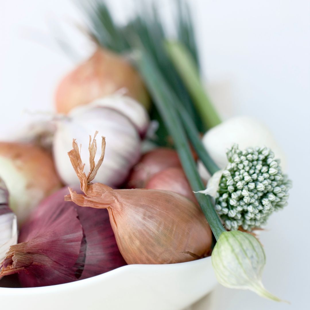 15 Common Household Items That Can Kill Your Curious Cat | Atlantic Veterinary Hospital